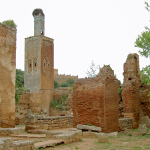 Rabat Chellah Roman Ruins | Notable Travels