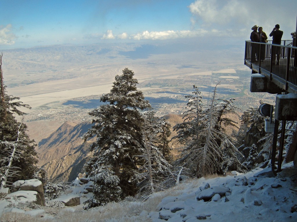 Tram summit, Palm Springs, California | Notable Travels