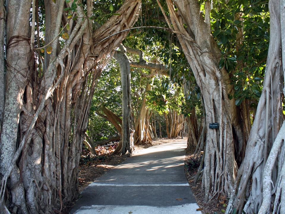 Selby Gardens archway, Sarasota, Florida | Notable Travels
